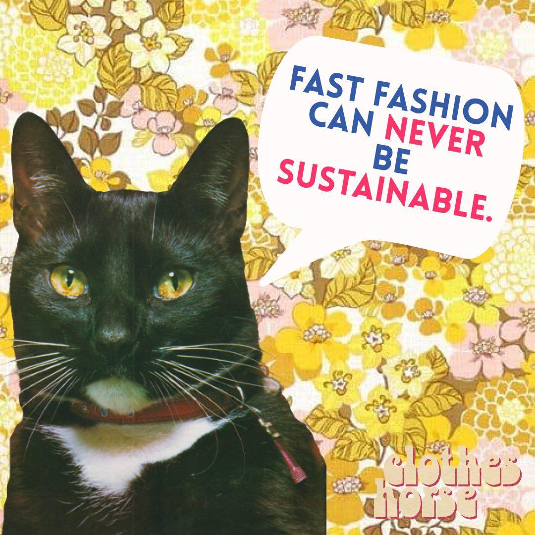 Episode 98: Nothing is Disposable (with Liz Ricketts of the OR ...